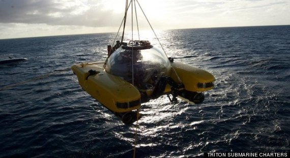 Triton Submarines Lets You Charter Your Own Luxury Submersible ...