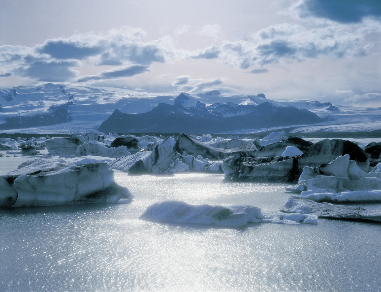 Arctic Ice Melt: Sea Ice Loss Threatens Entire Arctic Ecosystem ...