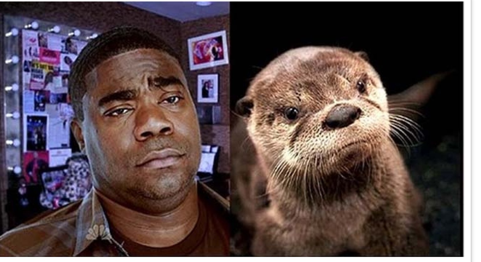 20 Animals With Celebrity Doppelgangers (PHOTOS) | HuffPost
