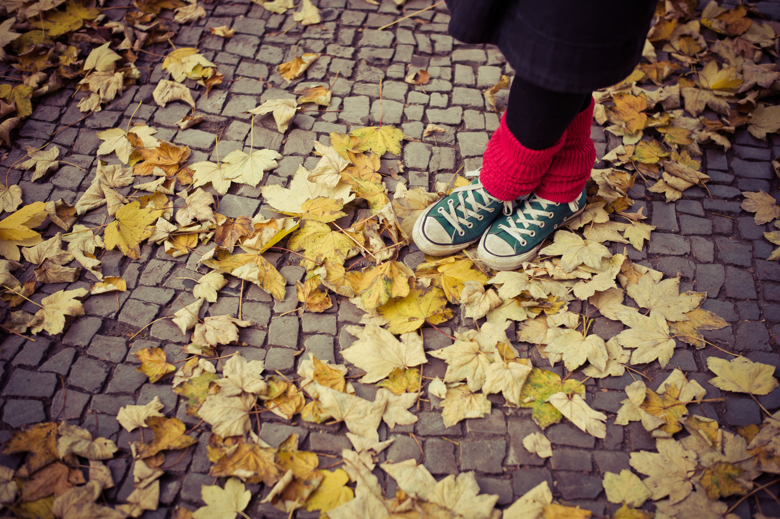 4 Ways to Have a Healthy Fall | HuffPost