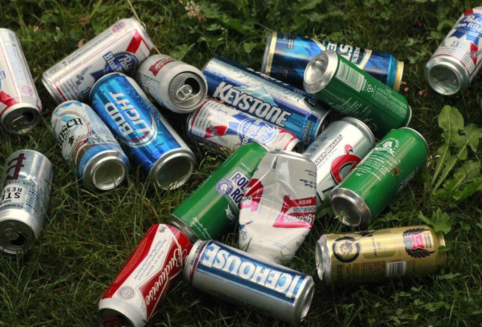 Dranking and Ranking 20 of America's Favorite Tallboys | HuffPost