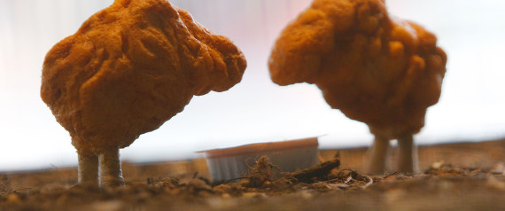 World Smallest Chicken Nuggets