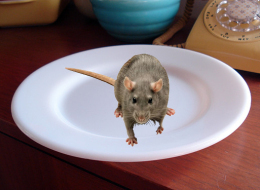 A MILESTONE FOR MOUSH MOUSH | Playing The Hand I Was Dealt