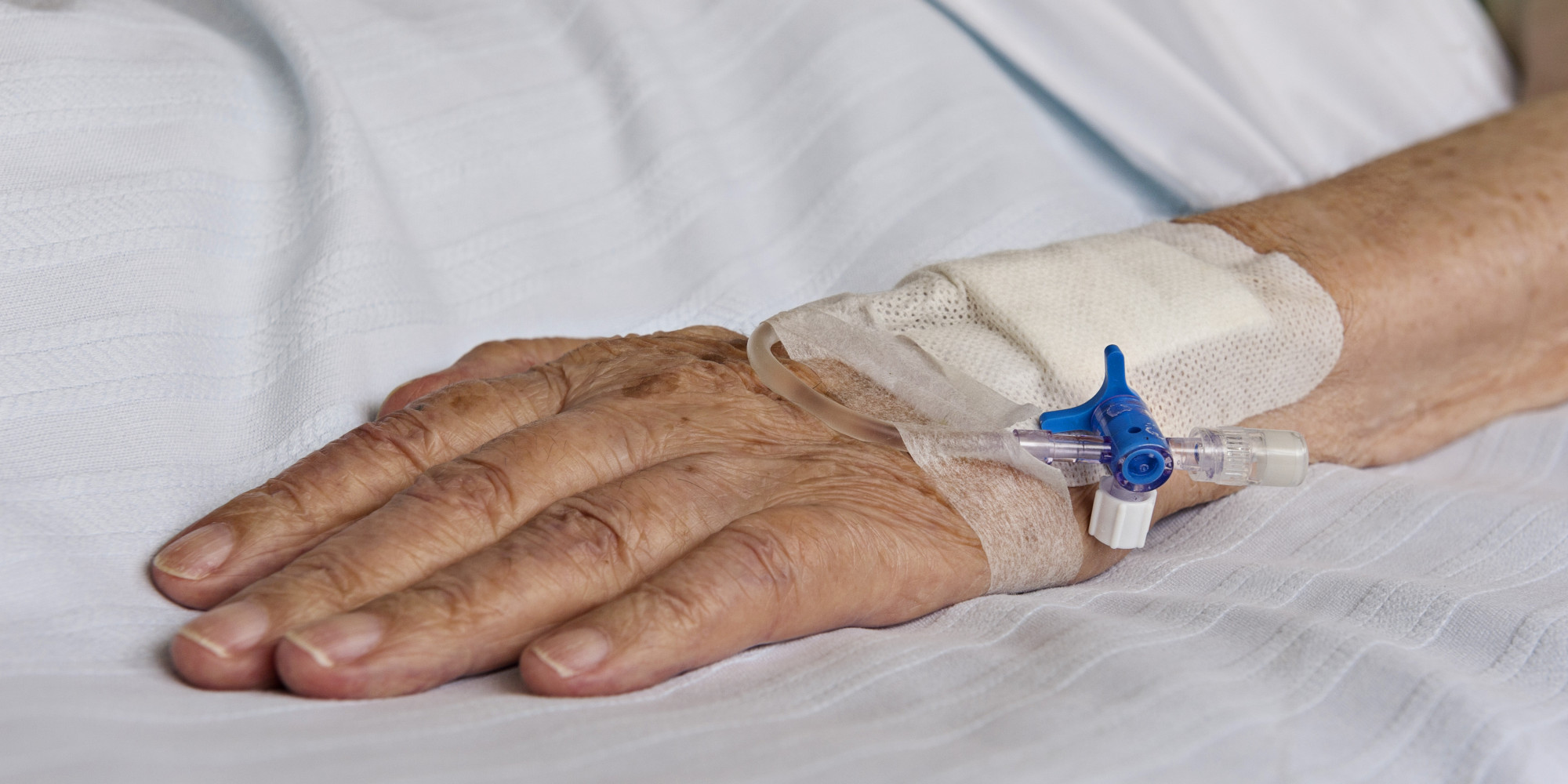 Life After Death? New Techniques Halt Dying Process | HuffPost