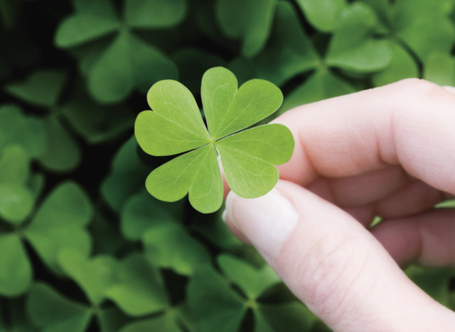 Les secrets des gens les plus chanceux du monde