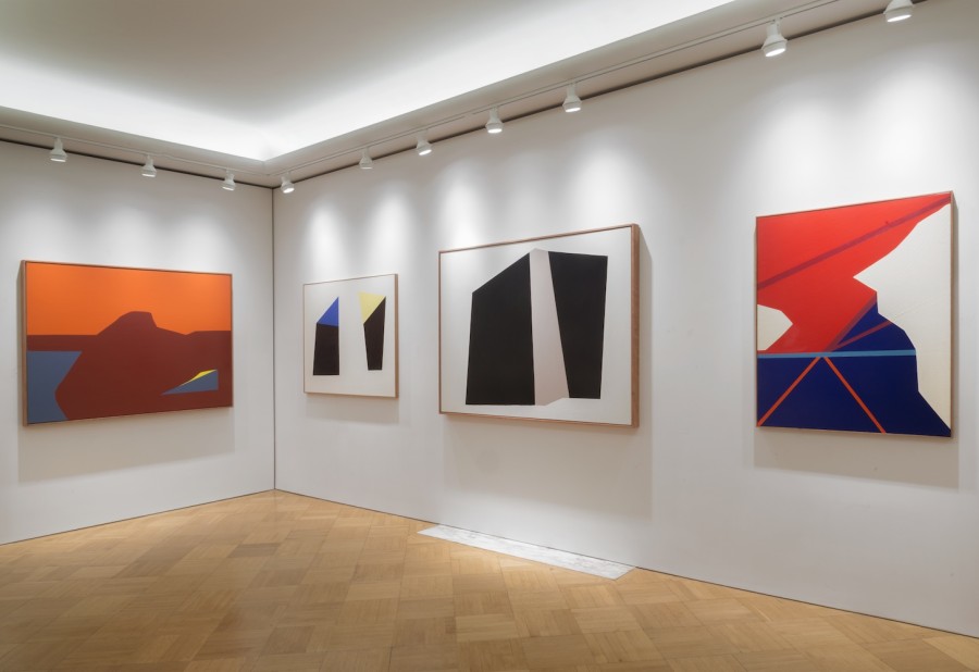 Artist Clare Rojas Talks Abstraction, Art Market Gossip And Louie C.K ...