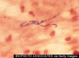 Mobile Phones: Pictures, Videos, Breaking News