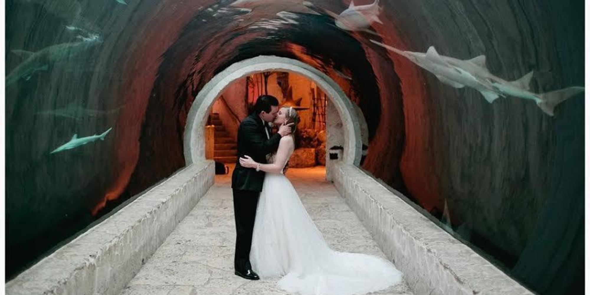 Underwater Shark Wedding