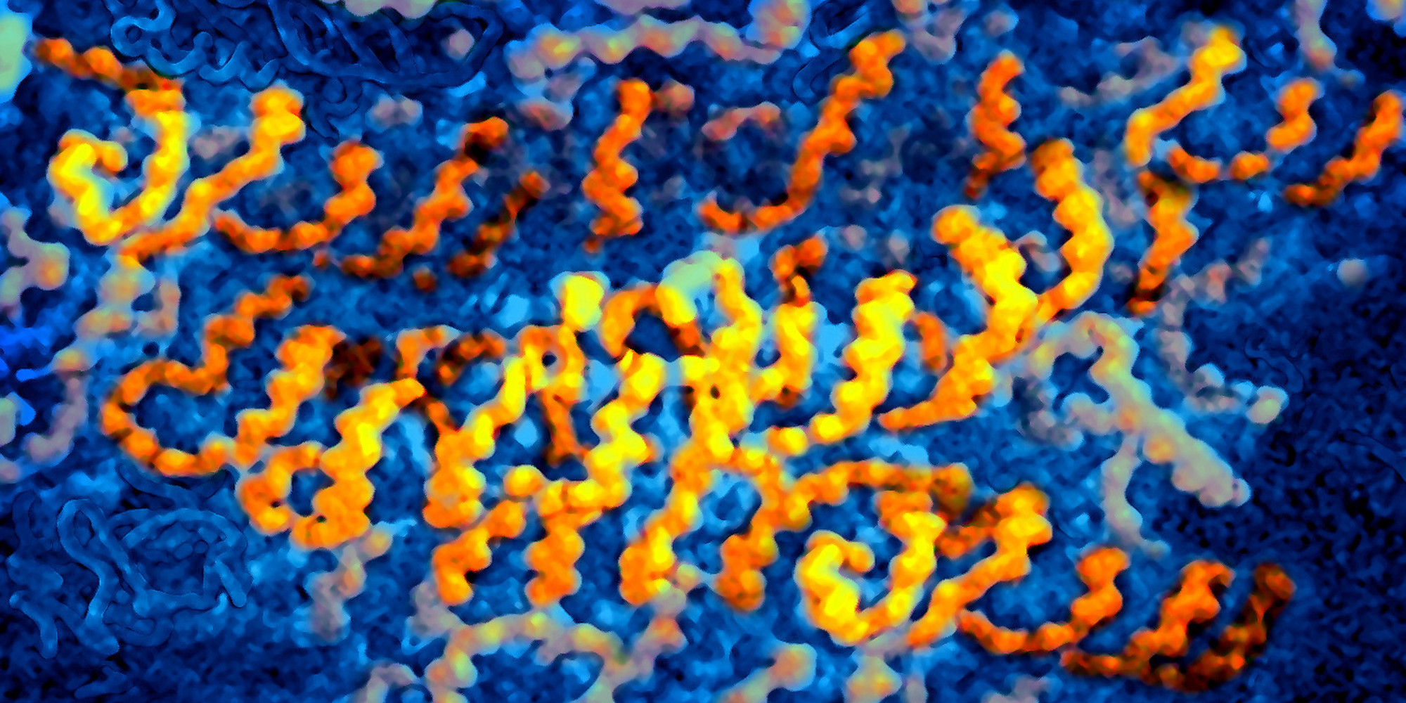 New Technique For Mapping Gene Activity Reveals How Cells Interact ...