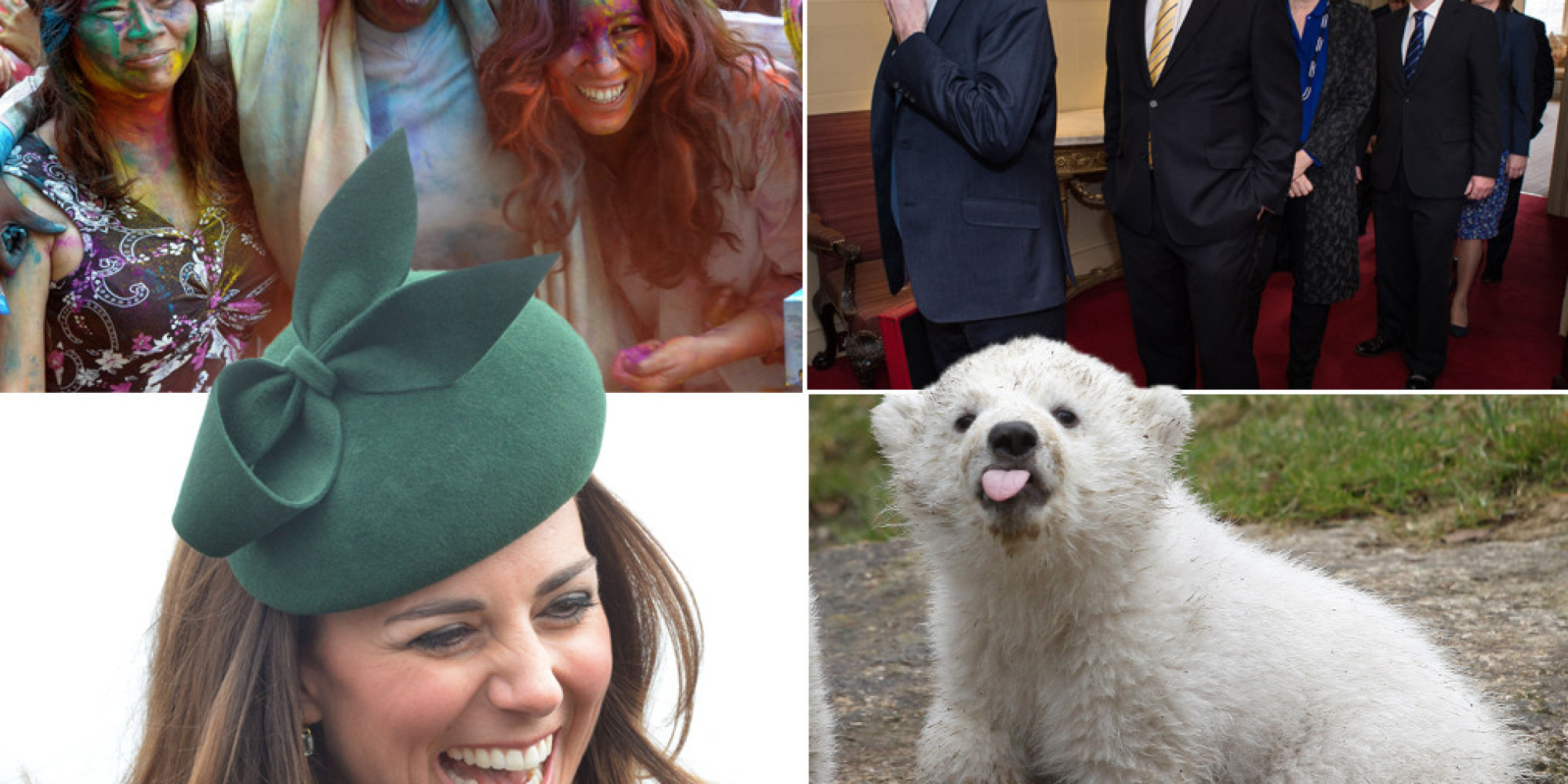 The Best Pictures Of The Week - Vote On Your Favourite Photo