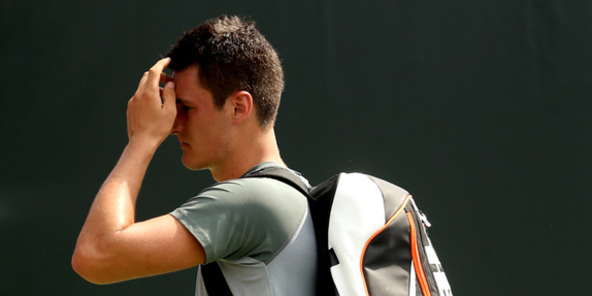 Typical Dinaro-pontids