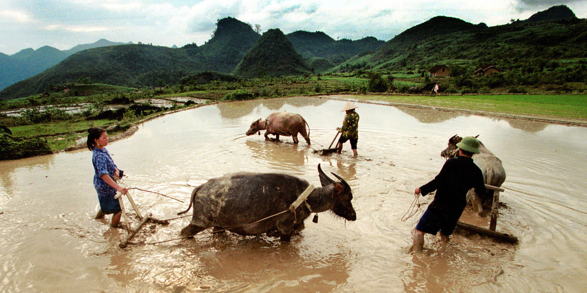 Daily Life: Photos Show The Enchanting Beauty Of Vietnam | HuffPost