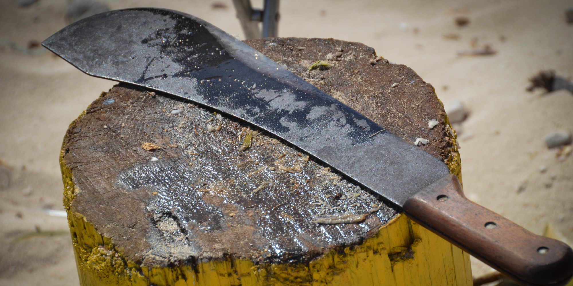 Cyclist Says Machete-Wielding Teen's Attack Could Be Variation Of ...