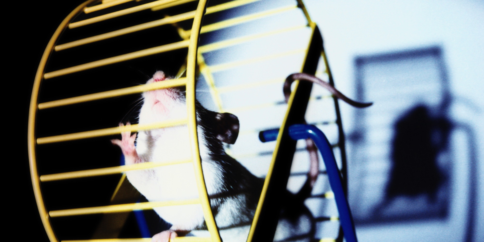 The Surprising Thing Exercise Can Do For Your Brain | HuffPost