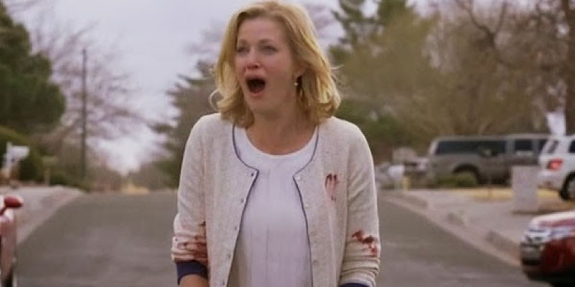 Either This Is A Prank Or There Is A Tragic, Real-Life Version Skyler White