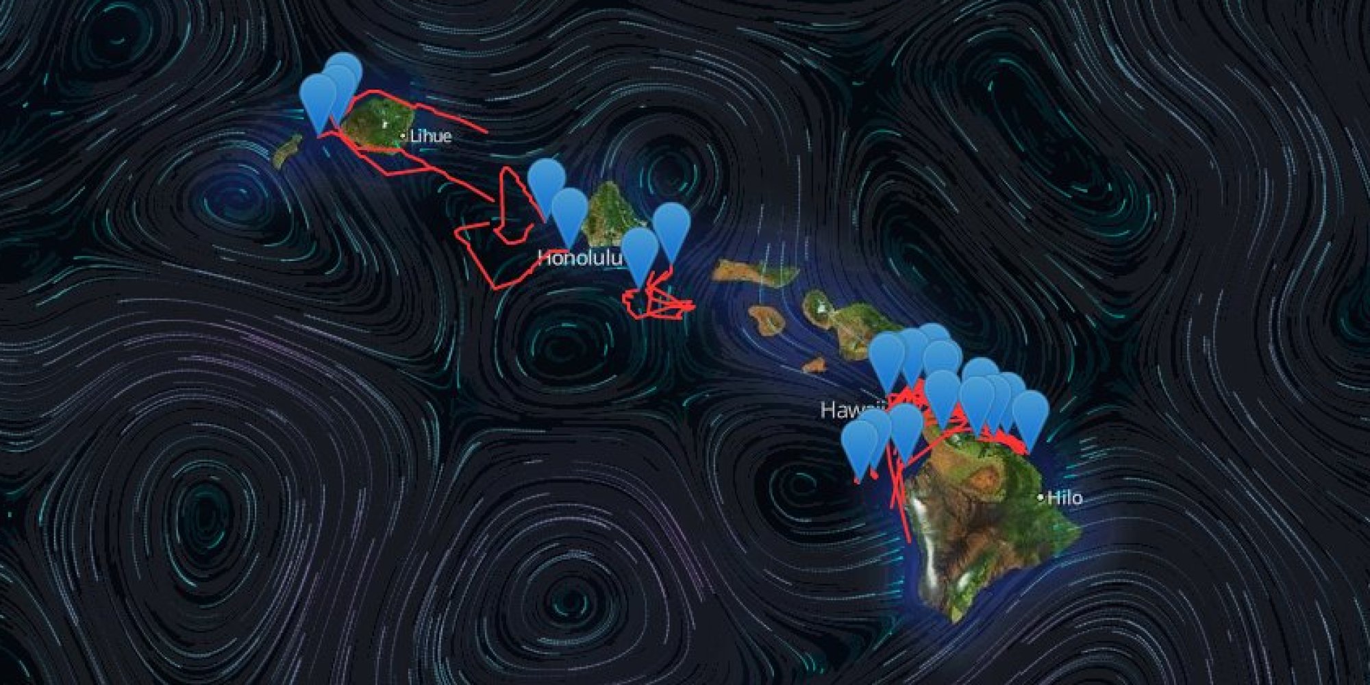 Hypnotically Beautiful Map Lets You Stalk Whales Around Hawaii | HuffPost