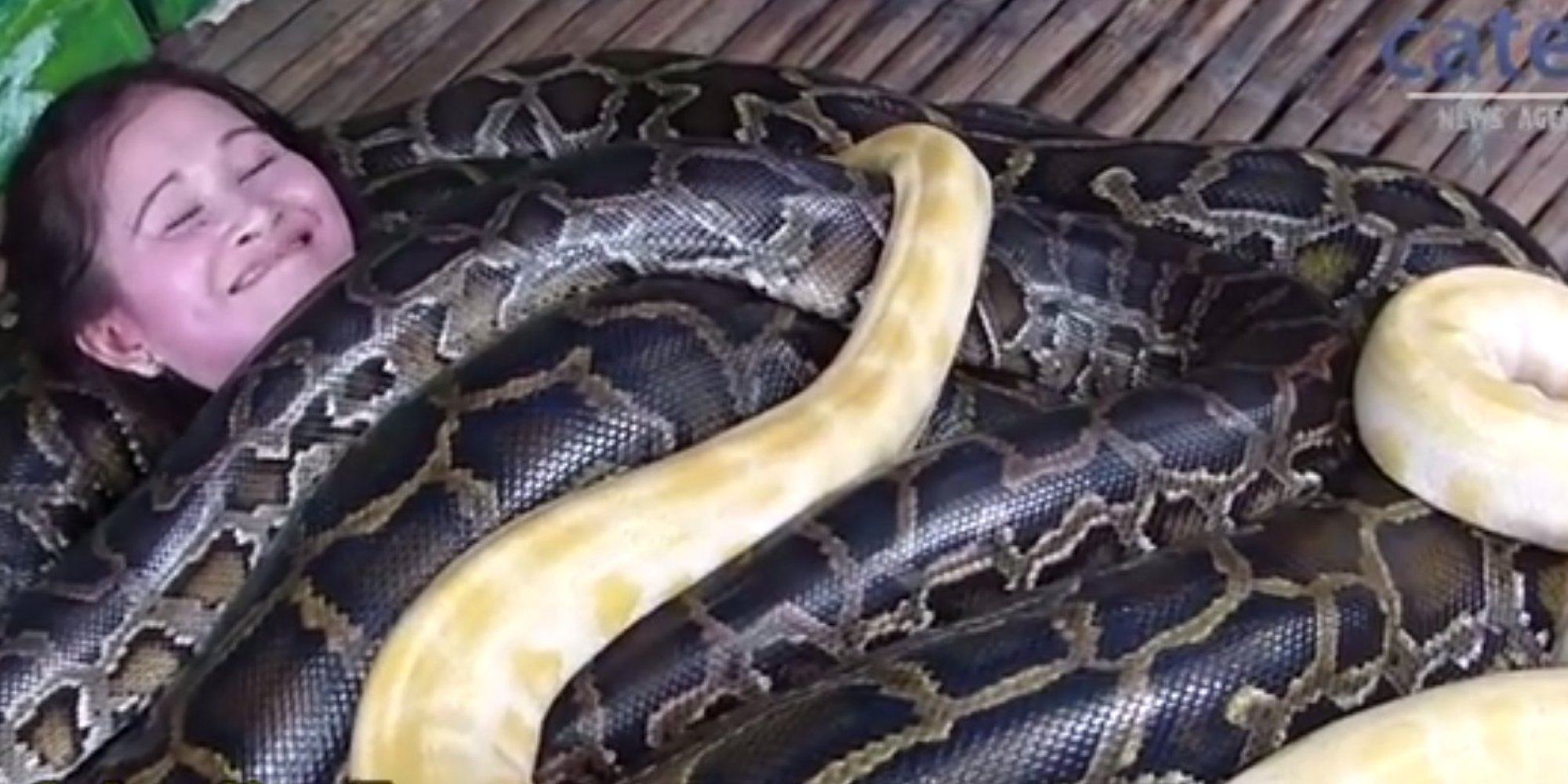 Zoo Snake Python Woman