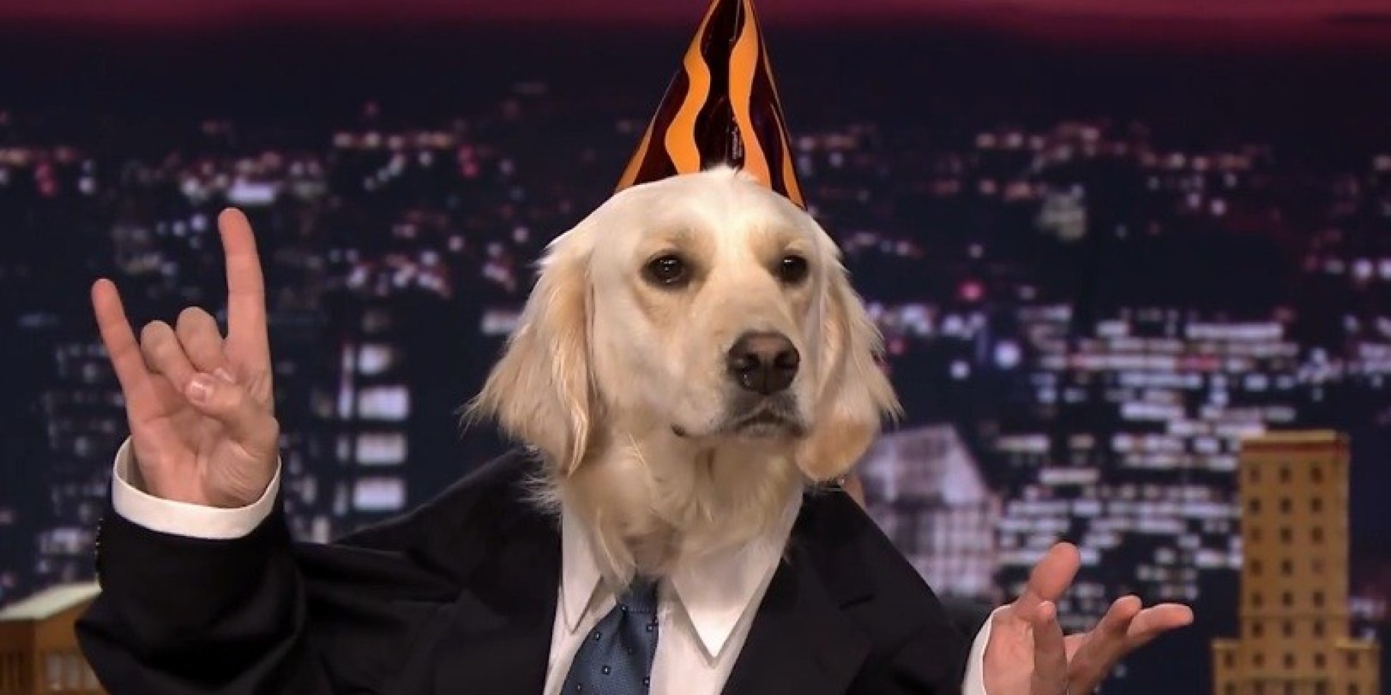 Jimmy Fallon's Dog Is The Most Unenthusiastic Party Animal Ever | HuffPost