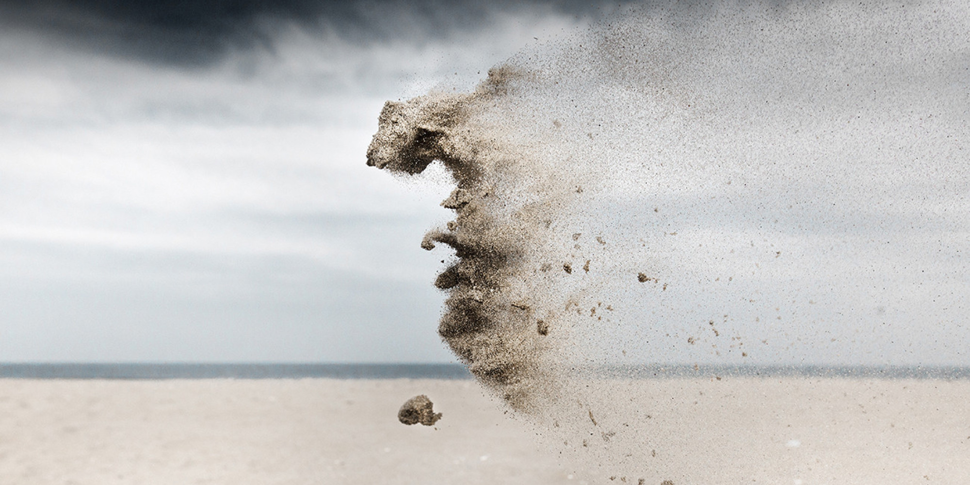 Photographer Captures Wild Portraits Of 'Sand Creatures' That Defy ...