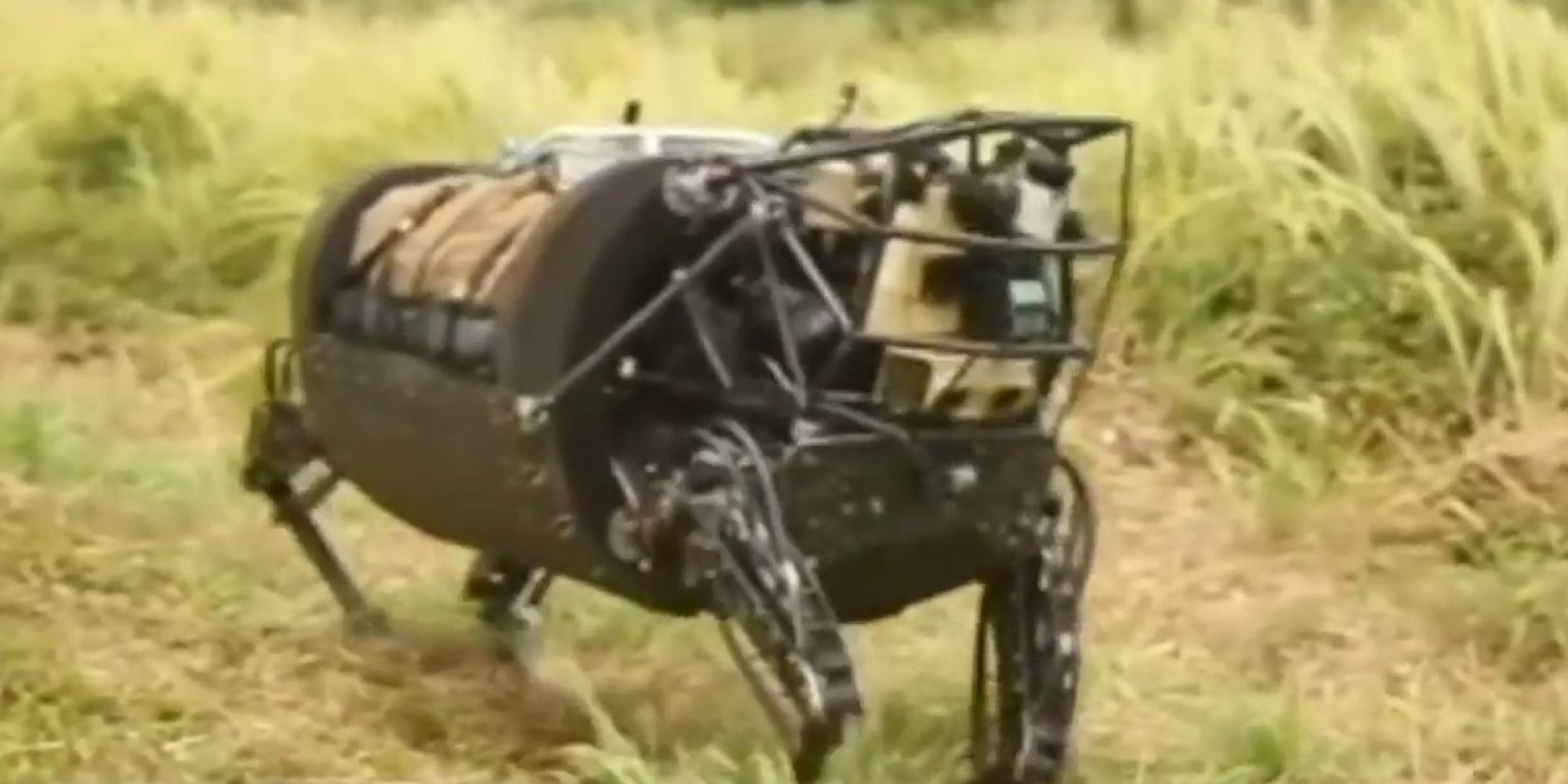 'Cujo' Robot Mule Starts Life Of Willing Servitude With US Marines ...