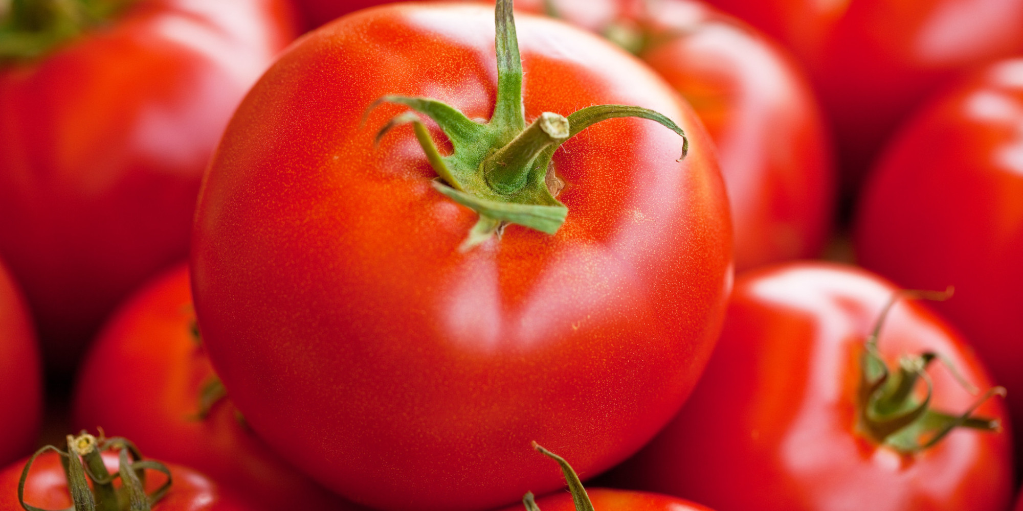 11 Things You Never Knew About Tomatoes | HuffPost
