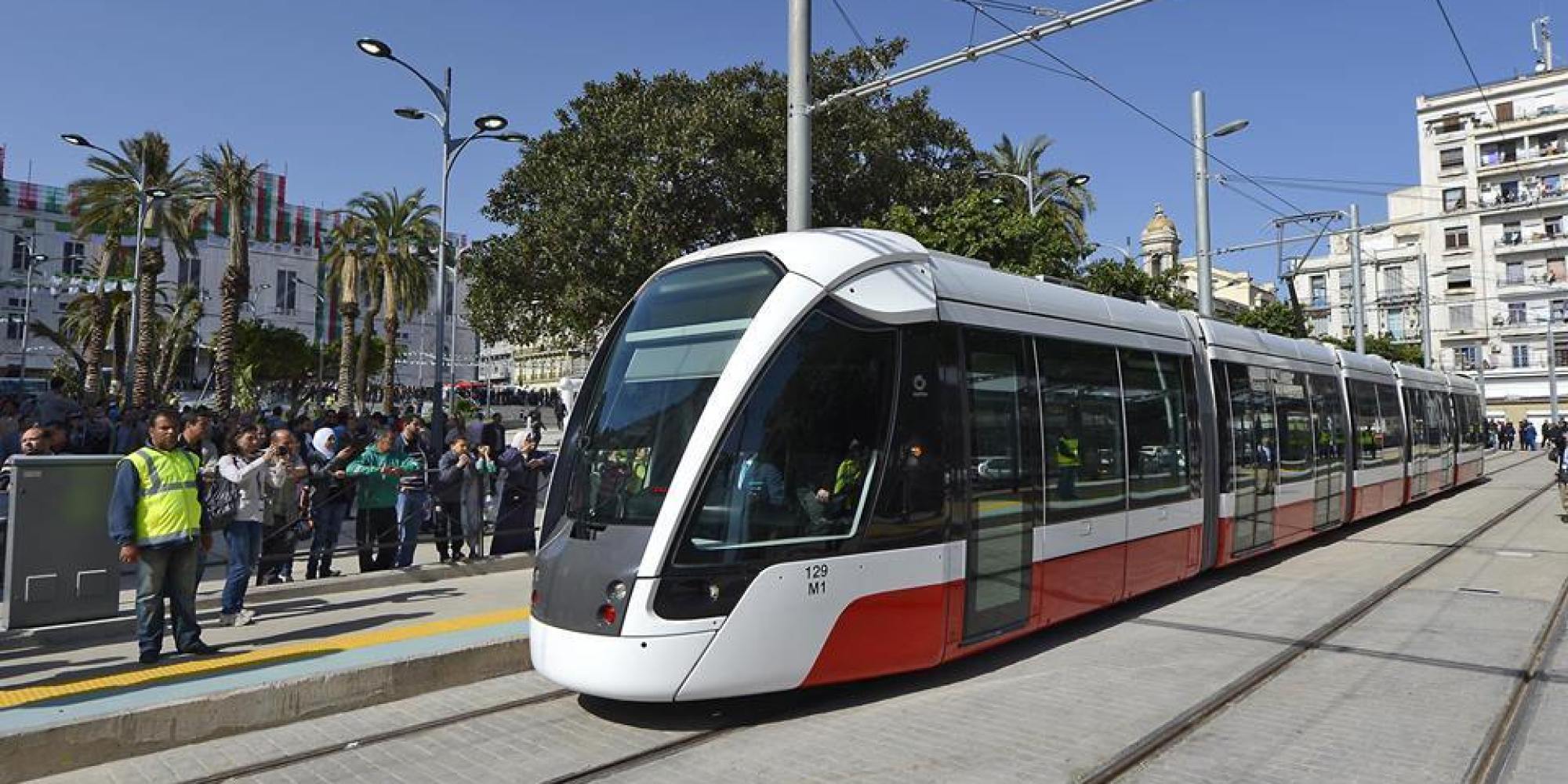 Gras all about - Page 103 - Forum Klix.ba