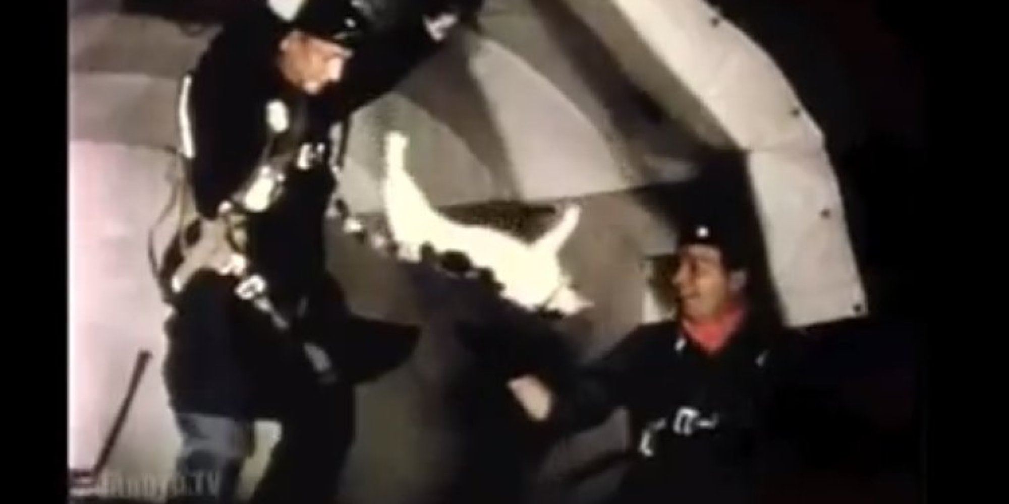 Weightlessness Throws These Cats For A Loop | HuffPost