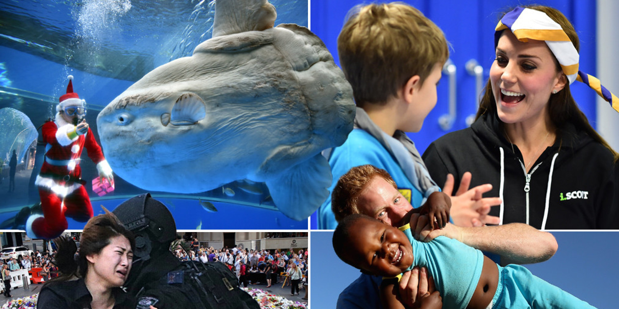 Pictures Of The Week: The Best Images From Around The World | HuffPost UK