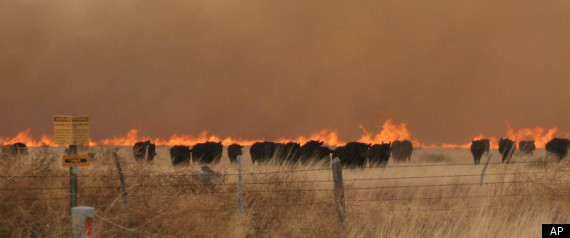 Texas Wildfires 2011: Season Among Worst In State History (VIDEO)