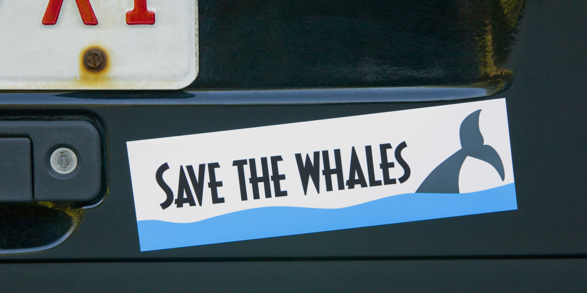 Create Your Own Bumper Stickers Advertising