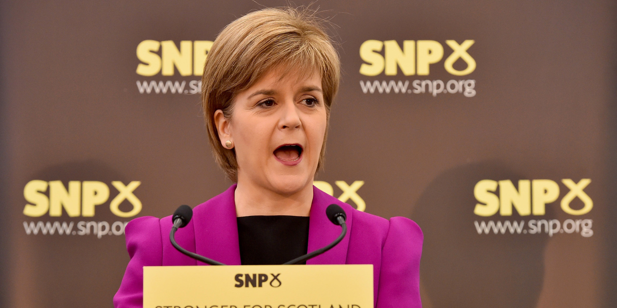General Election 2015: Who Is The SNP And What Does It Stand For ...