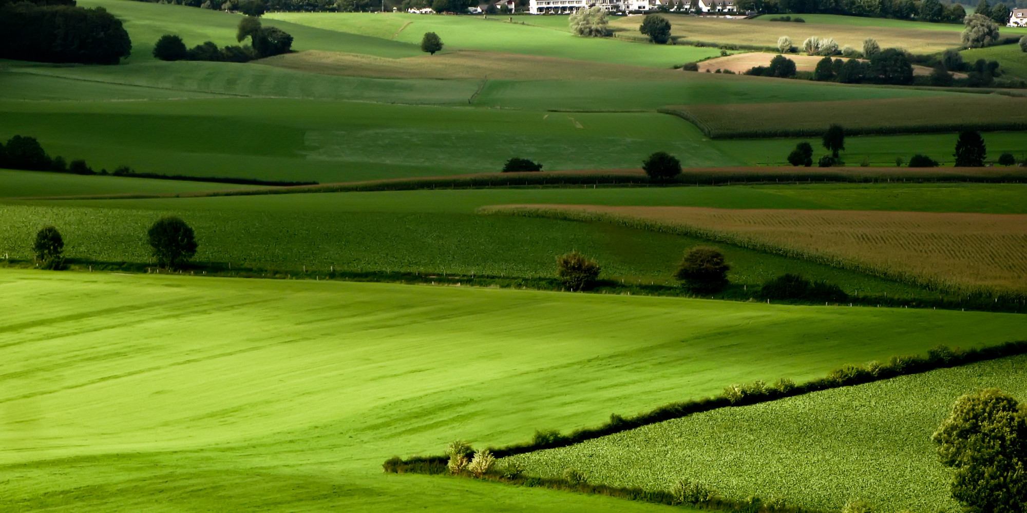 A New and Powerful Tool for Achieving Sustainable Development | The ...