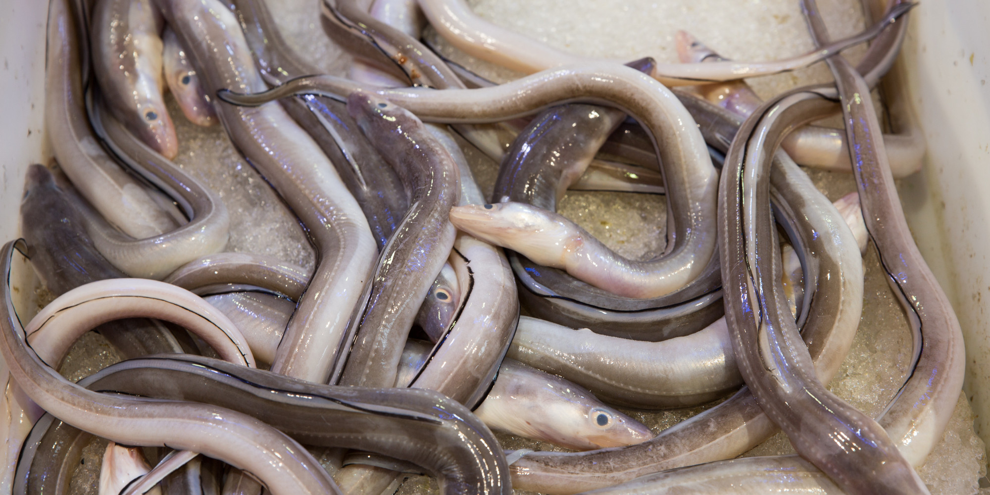 10 Of The Most Embarrassing (And Totally Real) Ways To Land In The ...