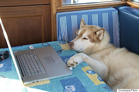 Here's What You And Your Significant Other Should Ask Yourselves Before ...