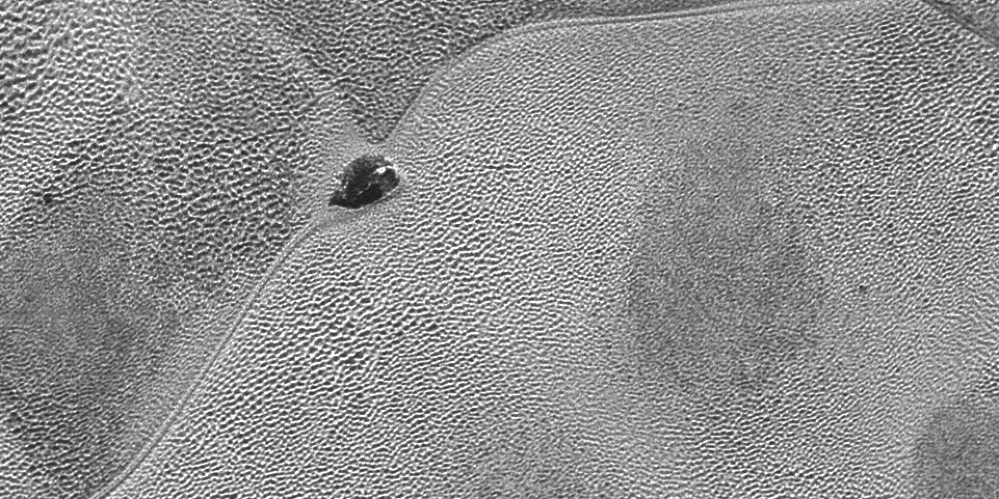 NASA's New Horizon Images Of Pluto Shows Off Stunning 'Snail-Like ...