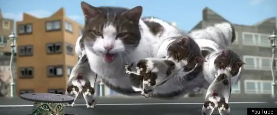'Welcome To Kitty City' Will Give You Nightmares (VIDEO)