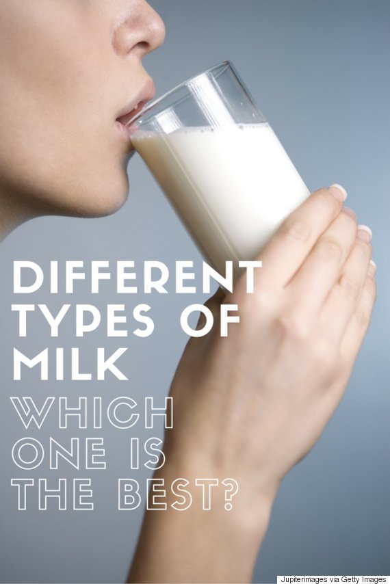 Different Types of Milk: Which One Is The Best?