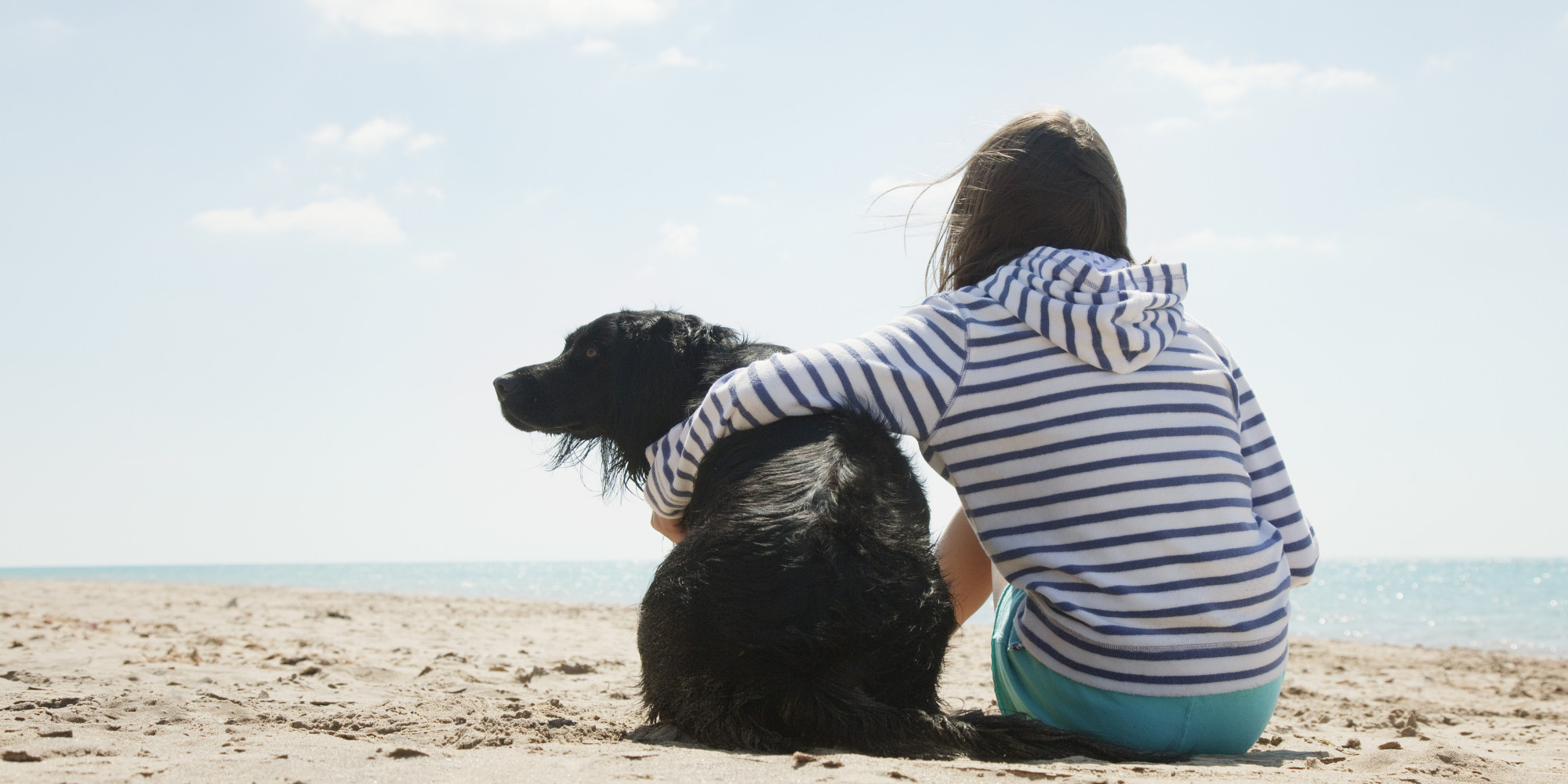 Hugging Your Dog Is Making It Stressed Out, Study Finds