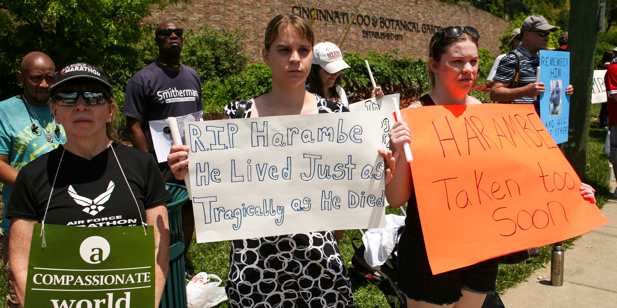 Cincinnati Zoo Gorilla: Police Investigating Harambe's Killing After ...