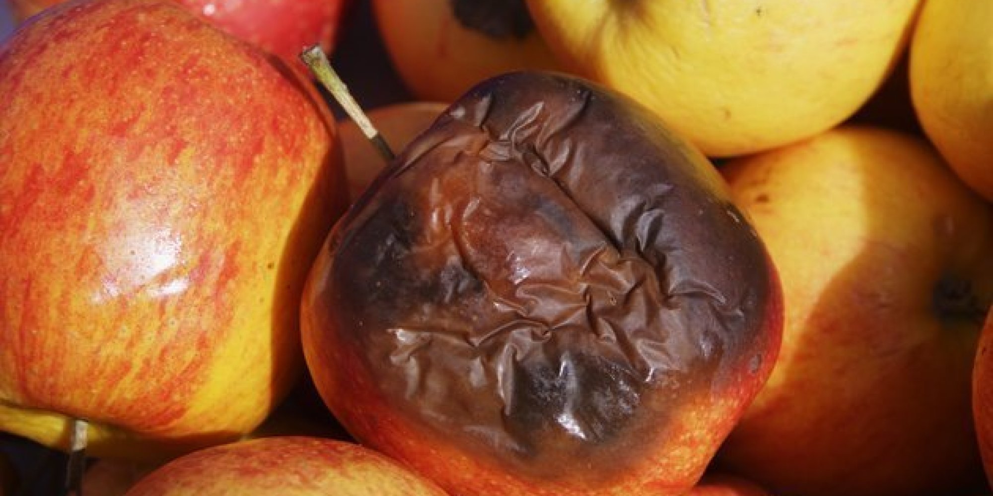 ¿Es verdad eso de que una manzana podrida echa a perder el cesto?