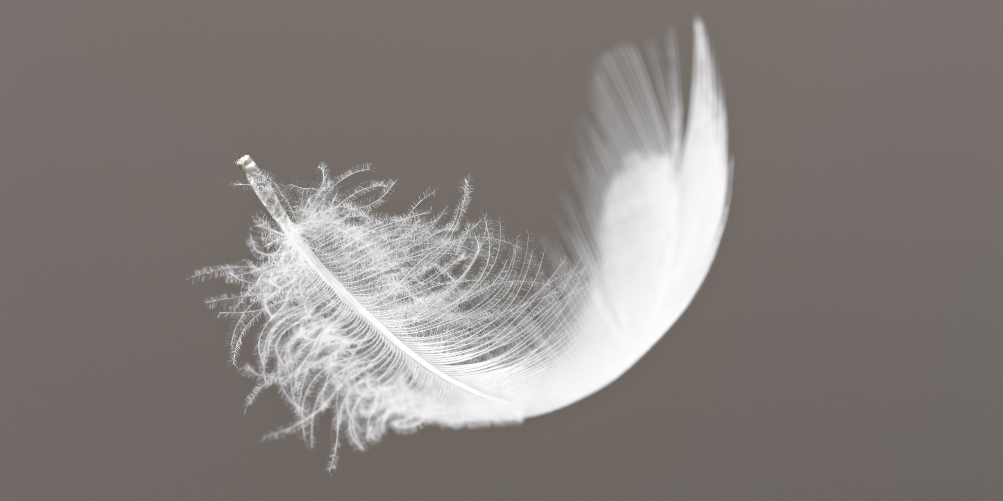 Women In Innovation: Turning Feather Waste Into Sustainable Insulation ...