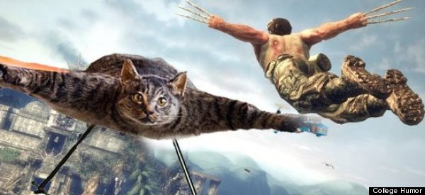 12 Pictures Of Helicopter Cat On Exciting New Adventures