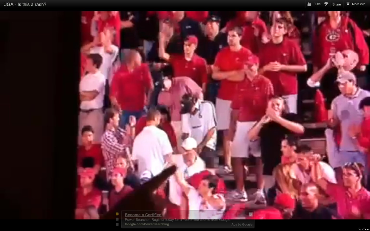 Sports Fans Caught In The Act at Aileen Markham blog