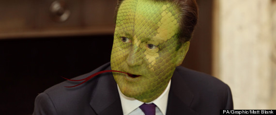 I really hate this snake | Reptile Forums