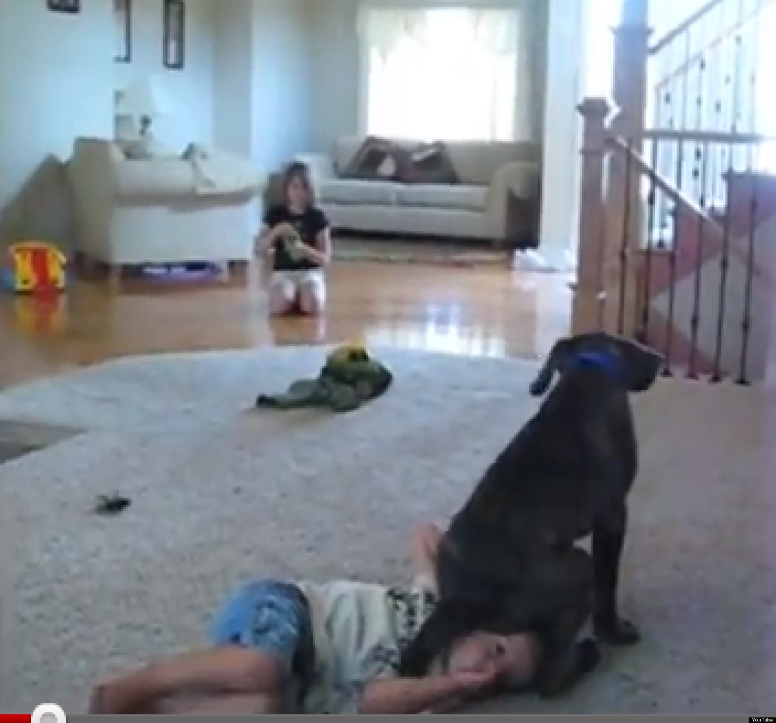 Dogs vs. Kids Compilation (VIDEO) | HuffPost