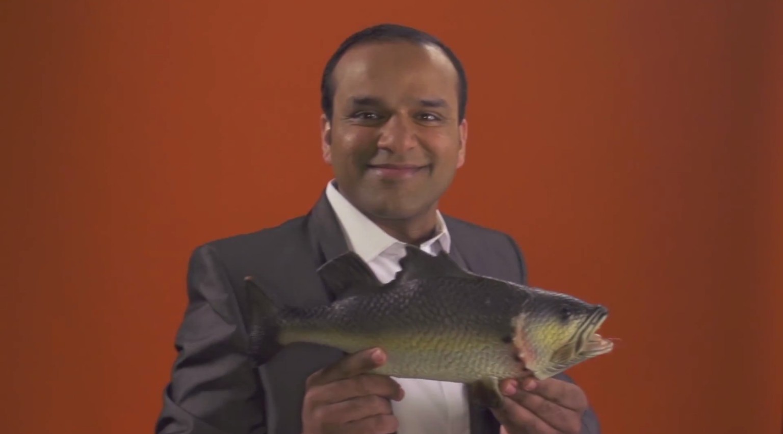 One pound fish: après Psy et Gangnam Style, un vendeur de poisson ...