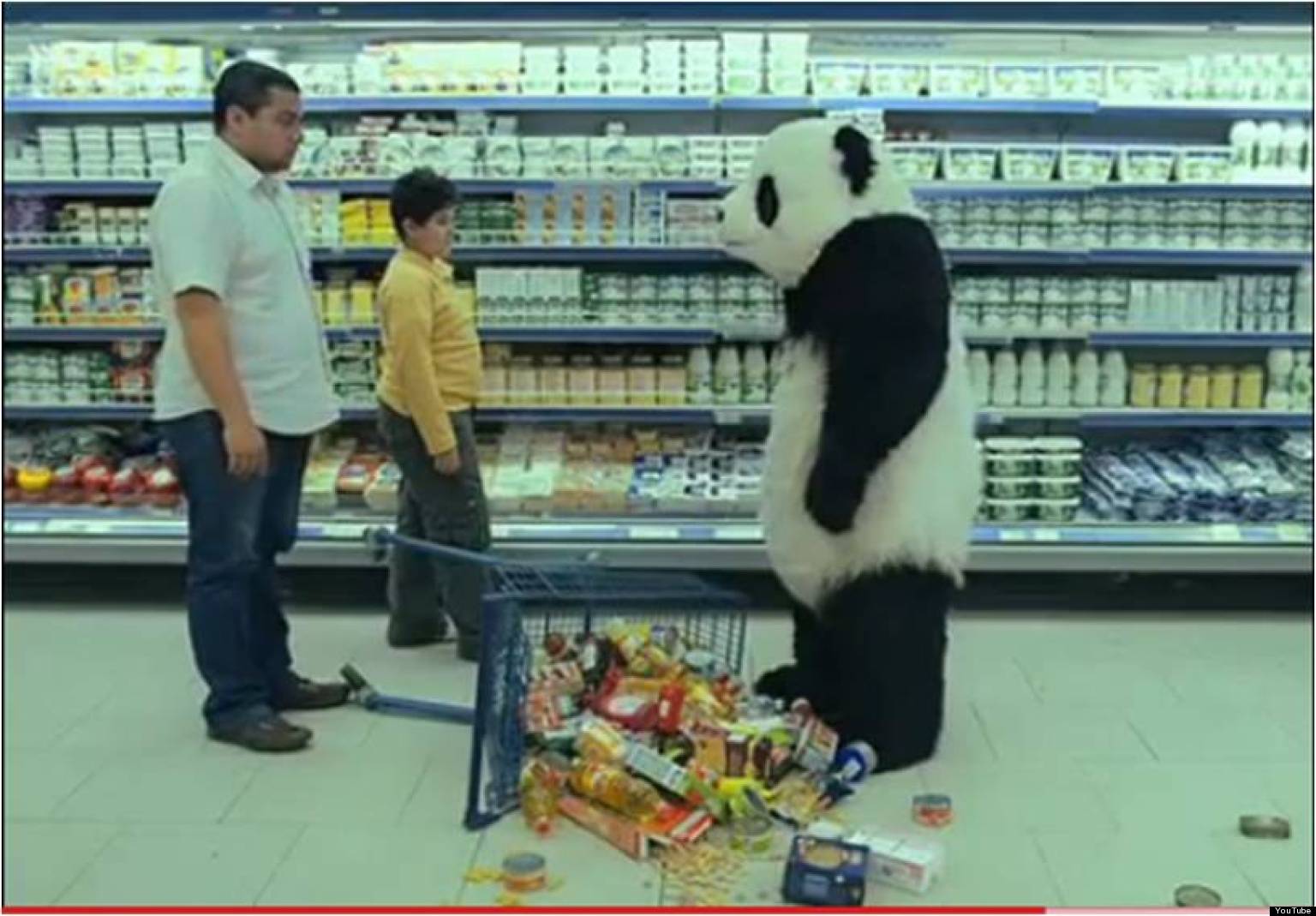 Hilarious Panda Cheese Adverts (VIDEO) | HuffPost UK
