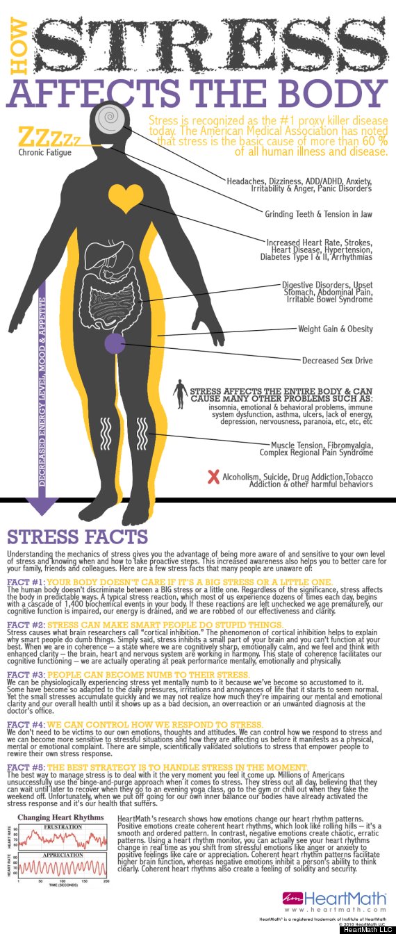 How Stress Affects the Body (INFOGRAPHIC) | HuffPost Latest News How Stress Affects the Body (INFOGRAPHIC) | HuffPost Latest News