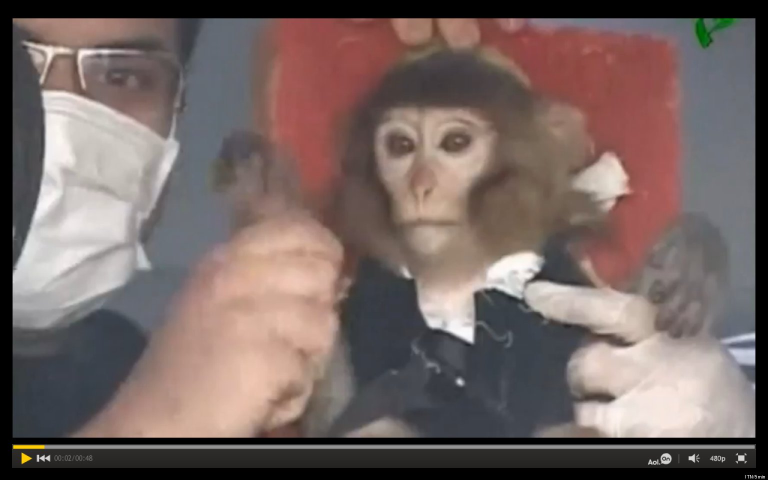 Iran Space Monkey Fake? Experts Dismiss Iran's Rocket Launch ...