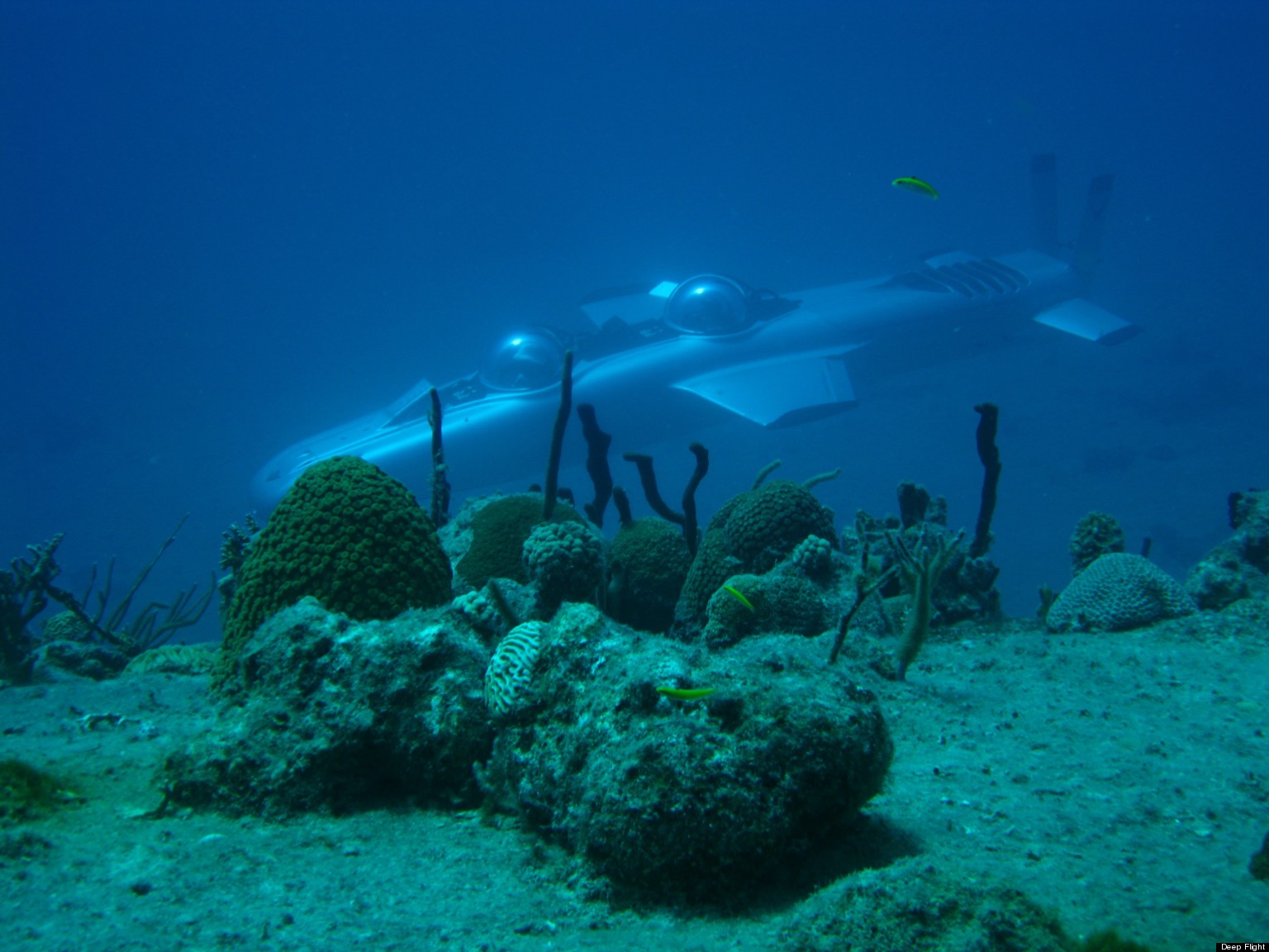 Underwater Planes And Graham Hawkes' Vision For Oceanic Tourism (PHOTOS ...